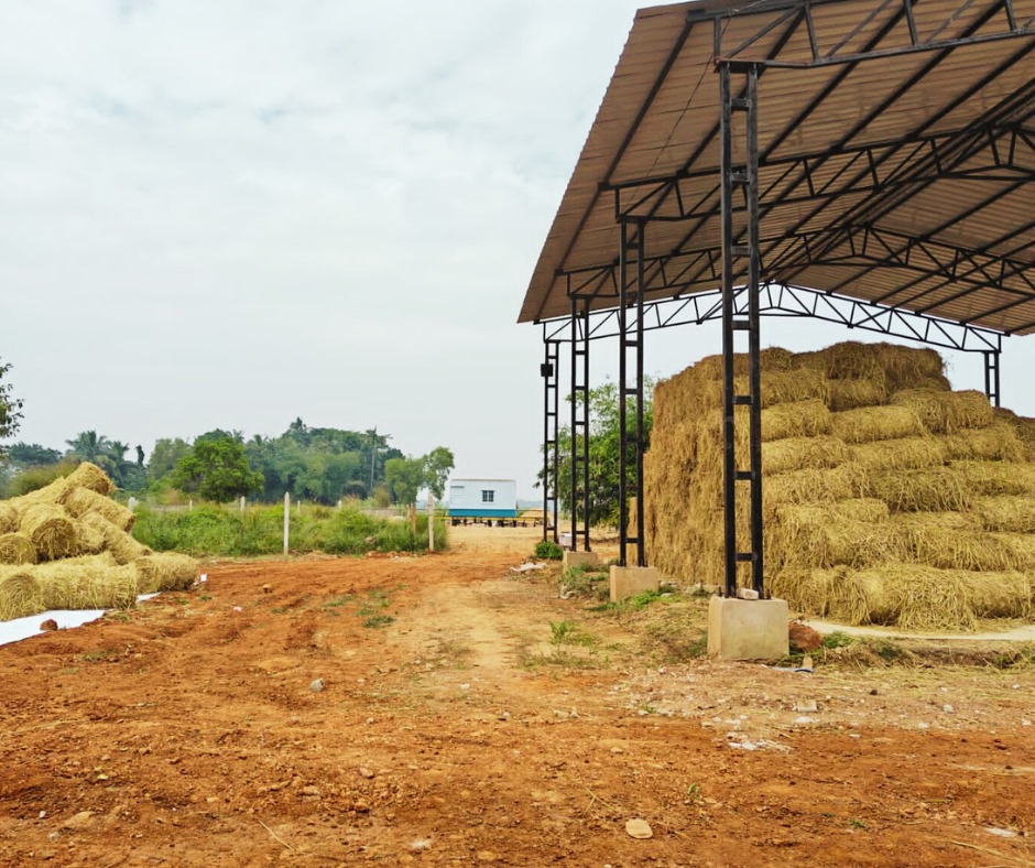 BioAgri | Sustainable Biomass Solutions | Eastern Odisha's Leading ...